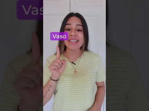 VASO, COPA, TAZA Y FRASCO EN INGLĂS â #shorts