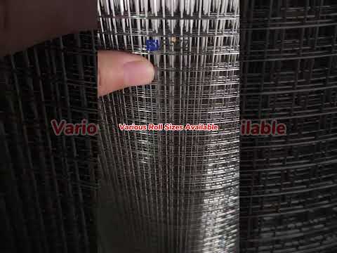 1/4" Welded Wire Mesh, Galvanized or Stainless or PVC Coated, for Chicken Wire, Cage Wire, Fencing