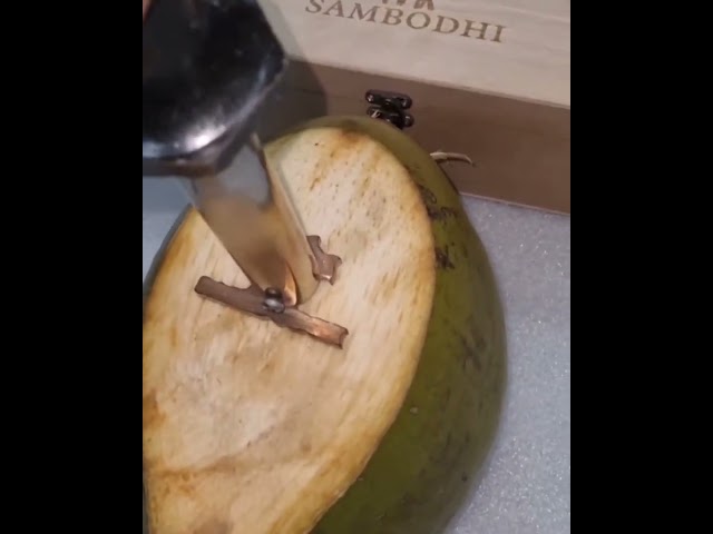 Stamping Dies - Food Branding Stamp Manufacturer from Mumbai