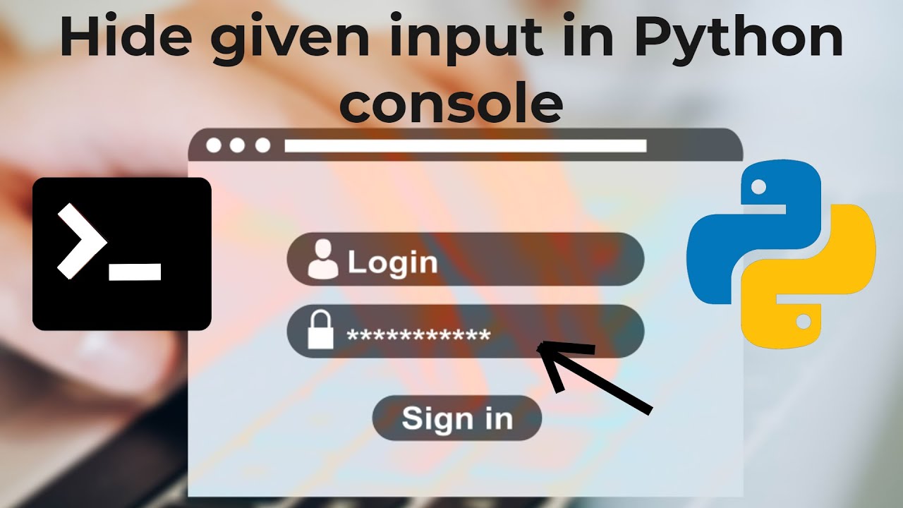 Hide given input in Python console