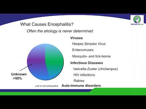 Encepha-what?!?