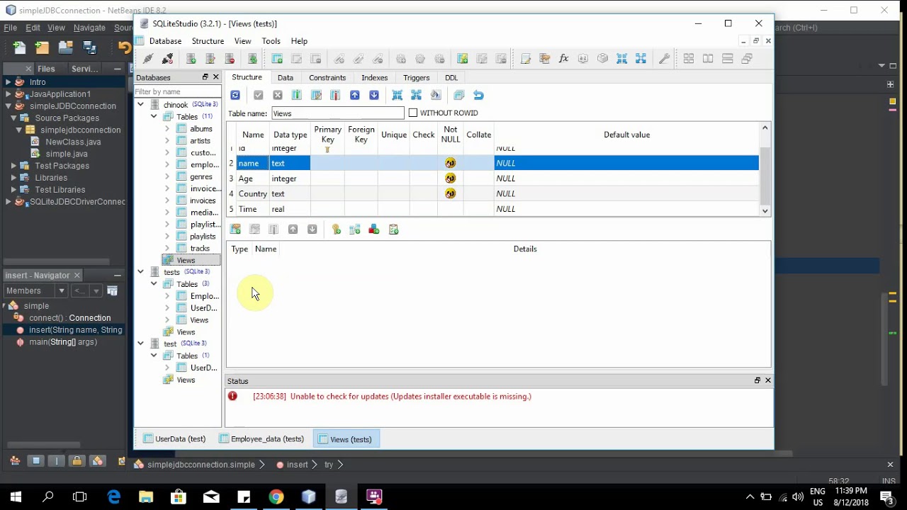 Inserting data into the Table with SQLite and JAVA