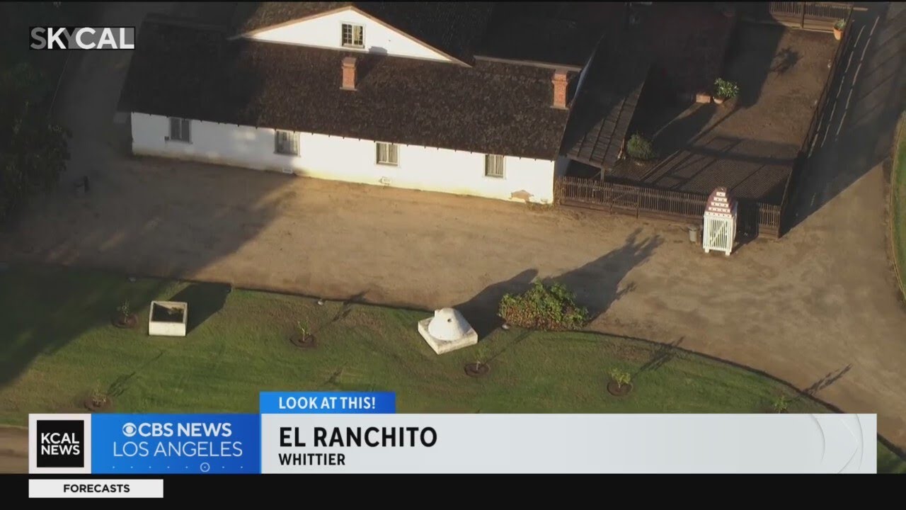 El Ranchito | Look At This!