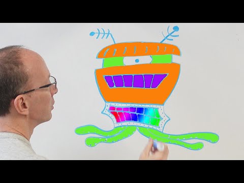 How to Draw an Octobot - Half Octopus and Half Robot ✏️ Easy Art Fun Show
