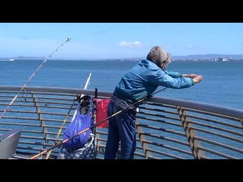 Fishing on Pier 14 in San Francisco.