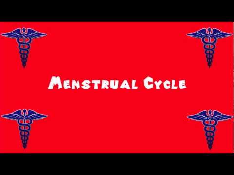 Pronounce Medical Words ― Menstrual Cycle