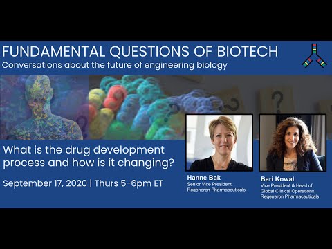Drug Development after IND: what happens next?