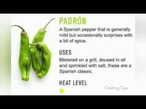 Chilli guide