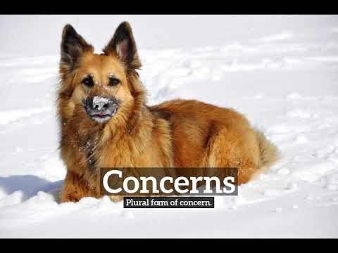 What is Concerns? | How Does Concerns Look? | How to Say Concerns in English?