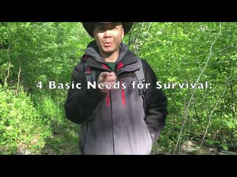 The 4 Basic Needs for Survival