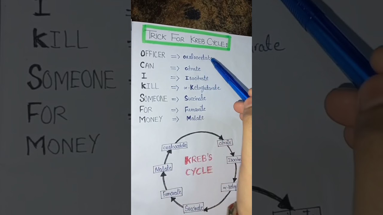 Kreb Cycle | Easy Trick | Mnemonics | 11th | mdcat | Neet | #11th #mdcat #neet #fsc #biology #krebs