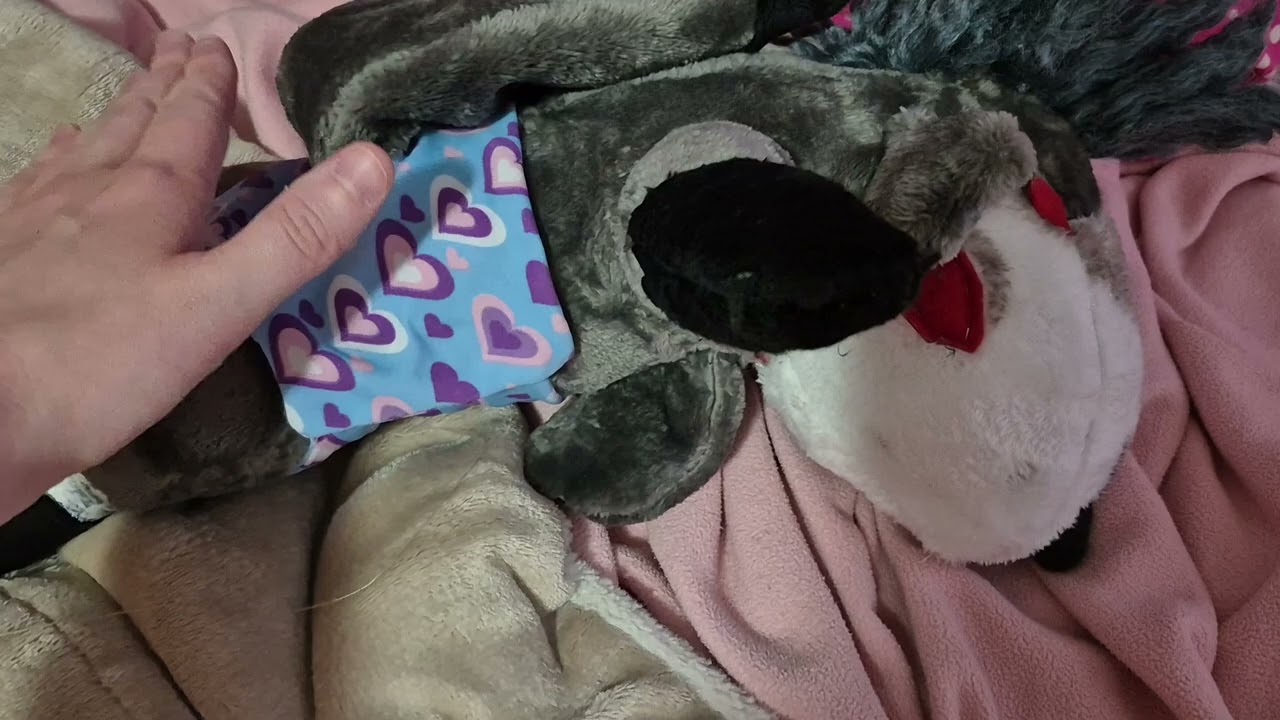 Giving Stolas Diaper Pats