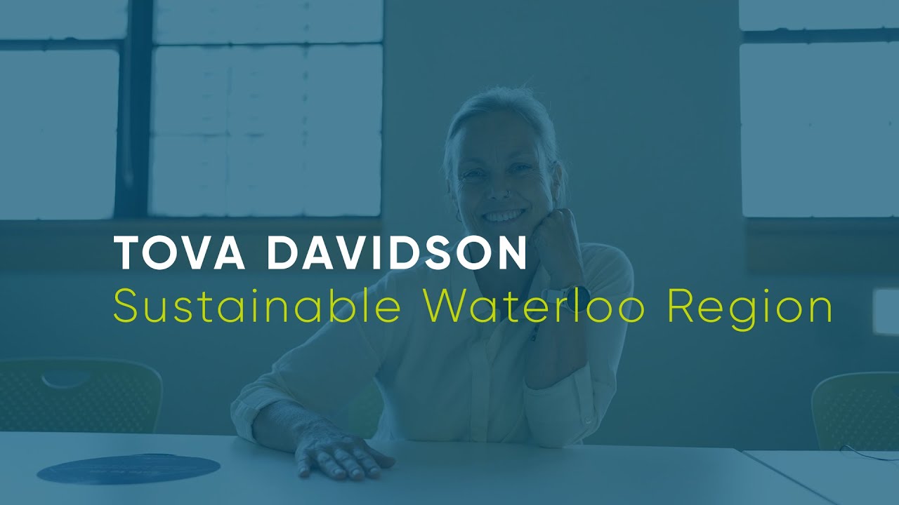 The Vanguard Collections - Tova Davidson