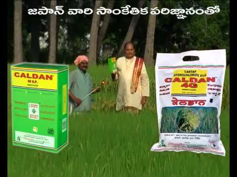 Cartap Hydrochloride at Best Price in India