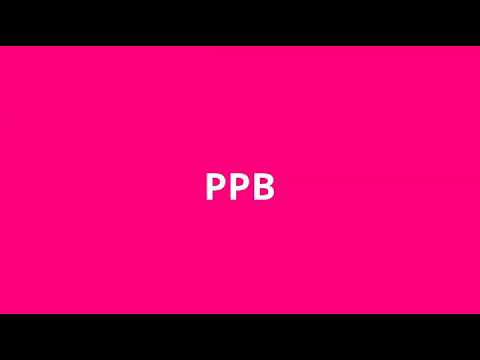 what is the meaning of PPB