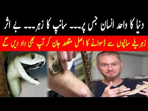 Tim Friede can immune Venom of World's Deadliest Snakes - Urdu - Hindi | Haqeeqat Jano
