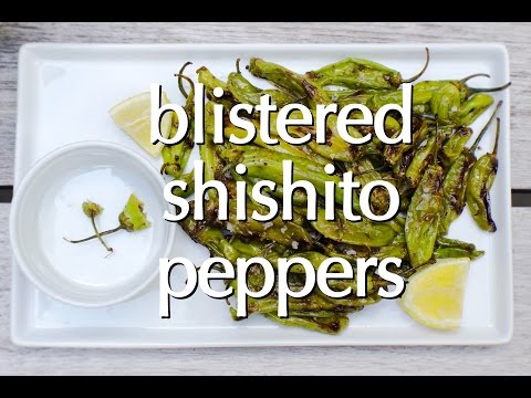 Dinner Party Tonight Shorts: Blistered Shishito Peppers