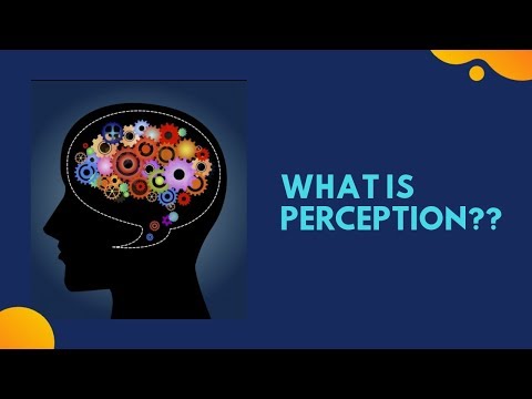 What is perception?|in urdu/hindi