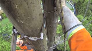 Journeyman Lineman Overview | What is a journeyman lineman? - Zippia