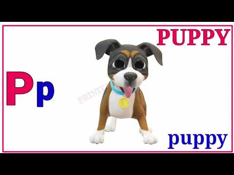 words that start with Pp|words that start with the letter Pp for toddlers| kids learning videos