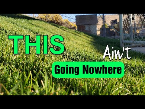 Benefits Of Turfgrass: How Lawns Stop Soil Erosion