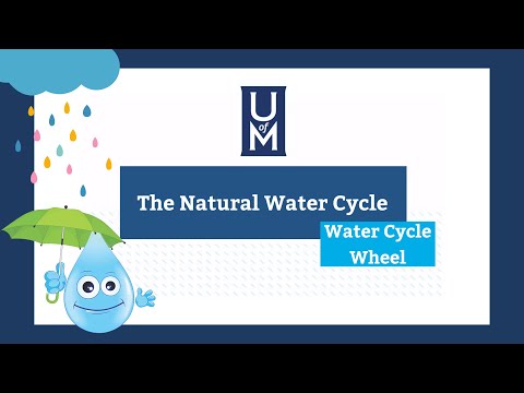 Water Cycle Wheel - Intro Lesson to the Water Cycle
