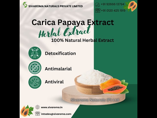 Herbal Extracts - Green Tea Extract Manufacturer from New Delhi