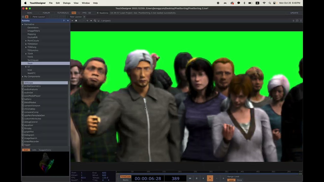 TD Experiment - Pixel Sorting