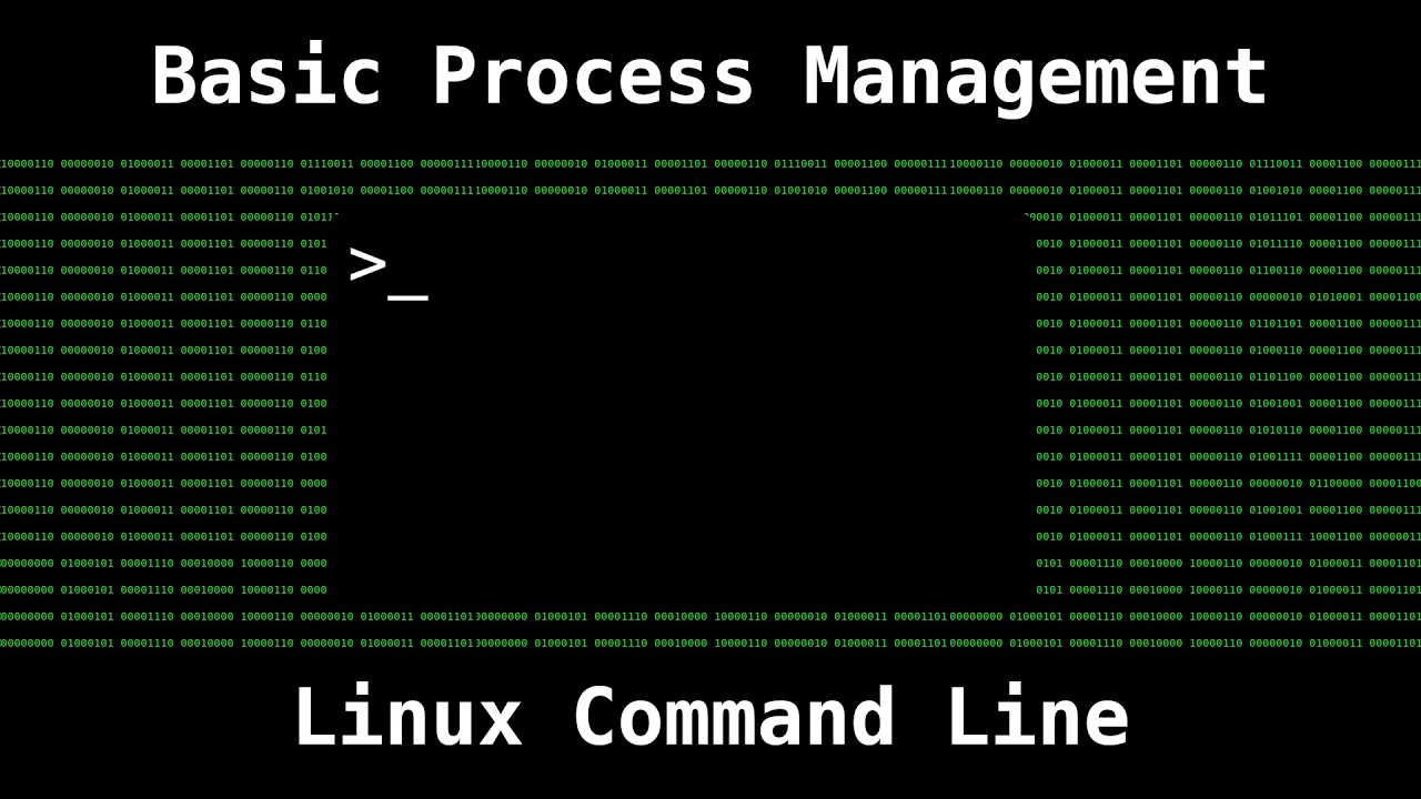 Linux - Basic Process Management