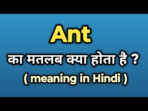 Ant Meaning in Hindi || Ant Ka Kya Matlab Hota Hai | Words Tube