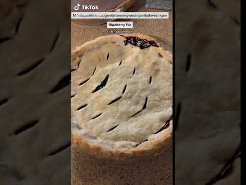 Miinibaashkiminasignibiitooyingwesijiganibakwezhigan- Blueberry Pie