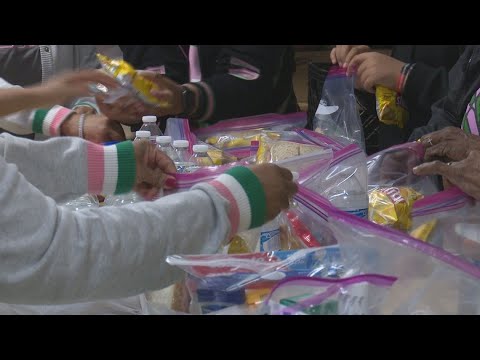 Macon chapter of AKA sorority does day of service for Martin Luther King Jr. Day