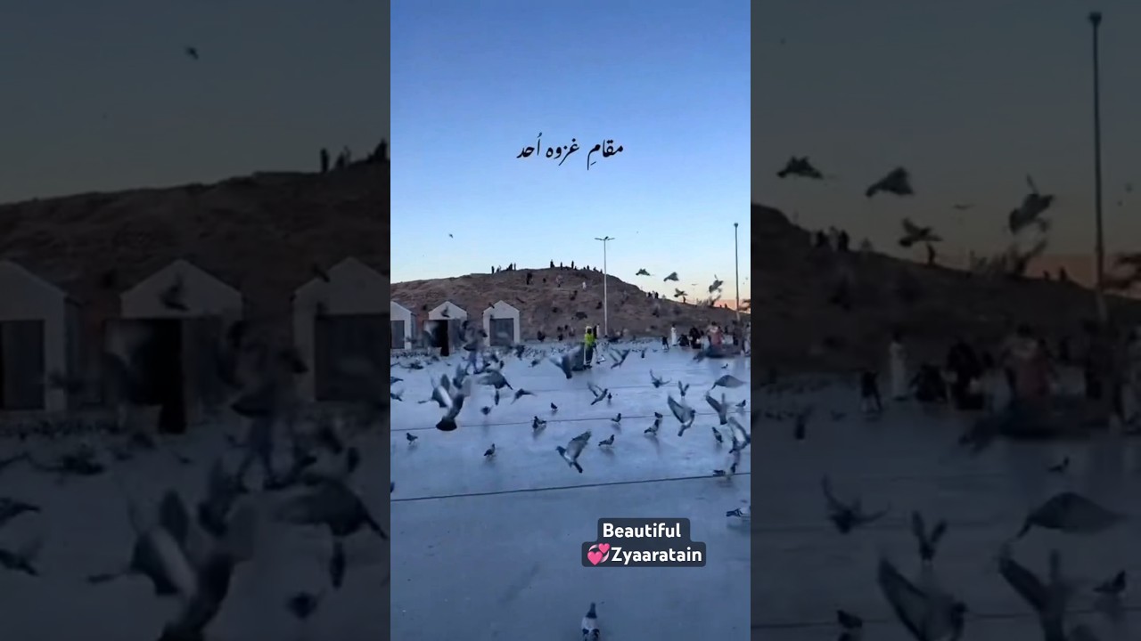 Saudi Arabia ky tamam zyarati mukamat aik clip mai| mery Malik tairi Raza ky liyay| trending⭐✨💫short