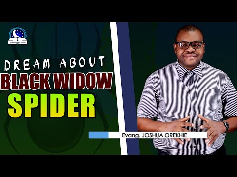 Dream About Black Widow Spider - Biblical and Spiritual Meaning