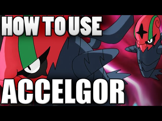 Accelgor Pokémon: How to catch, Stats, Moves, Strength, Weakness, Trivia, FAQs