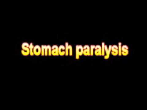 What Is The Definition Of Stomach paralysis Medical School Terminology Dictionary