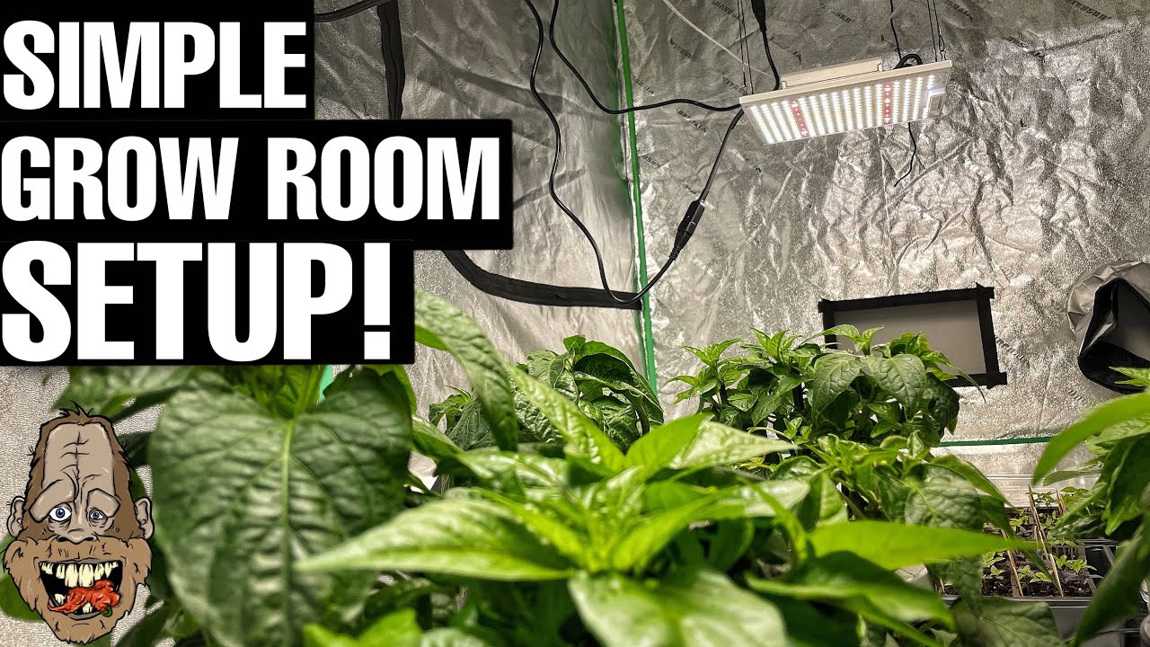 My Super Easy Indoor Grow Room Setup!