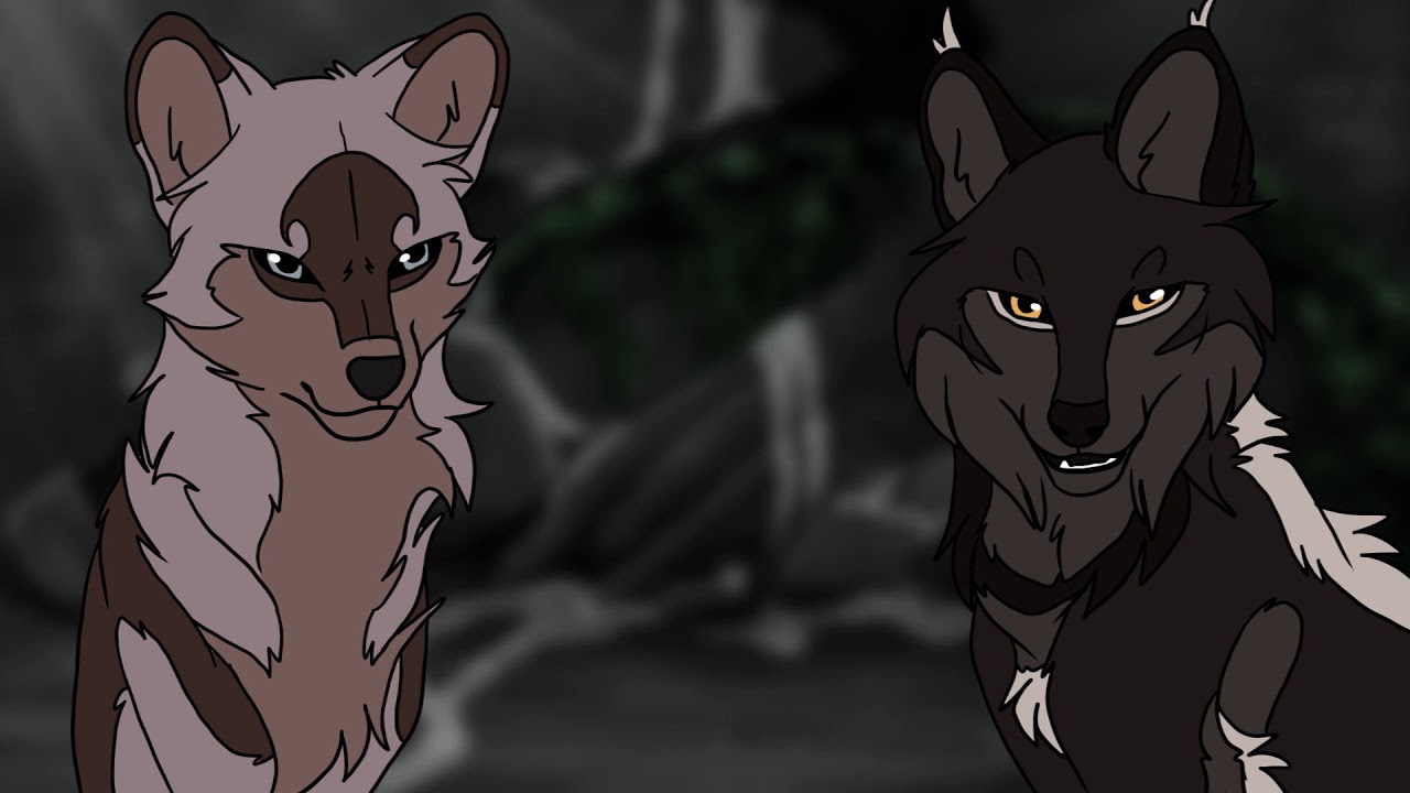 Ask Whitefall [Episode 1]