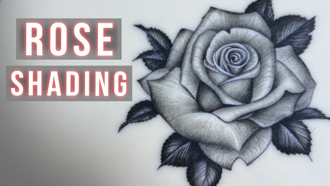 How To Tattoo A Rose For Beginners + Free Stencil 🌹