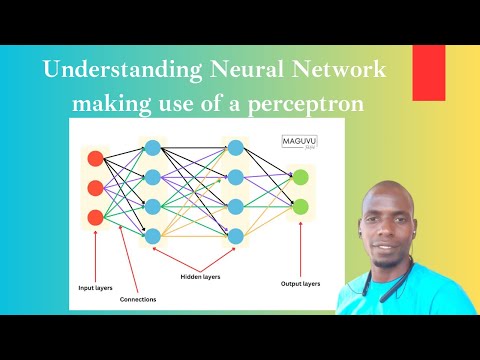 Understanding Neural Networks in Machine Learning using a perceptron