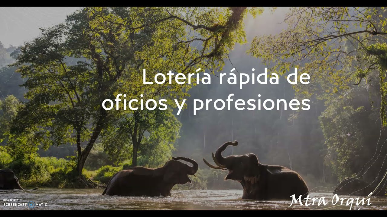Tutorial lotería de oficios
