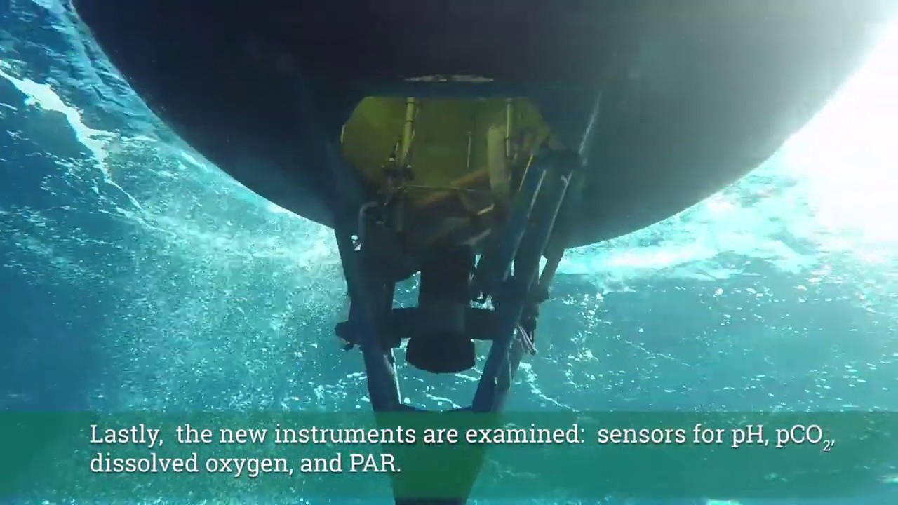 Ocean Carbon System Buoy Deployment
