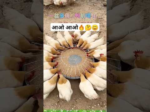 Aao aao 😊🤔🔥 | Gadgets appliances | #youtubeshorts#shortsfeed#viral#shorts