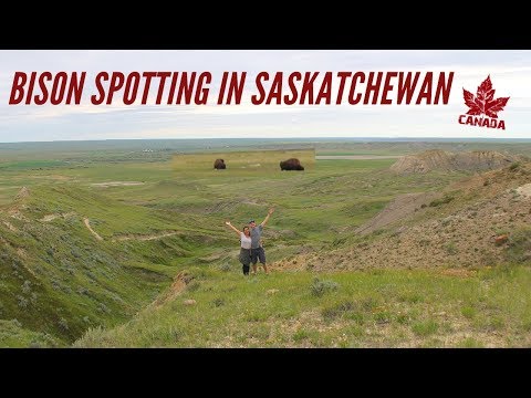 SURPRISED by this place in Canada! Grasslands National Park, Saskatchewan