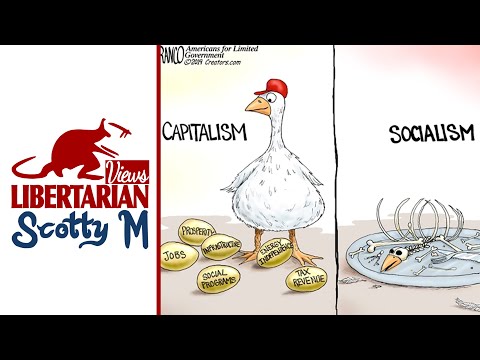Debunking The Finnish Bolshevik: Truth About Socialism