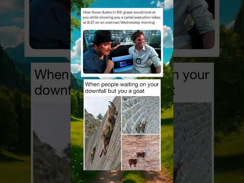 daily dose of memes #meme #viralvideo #funny