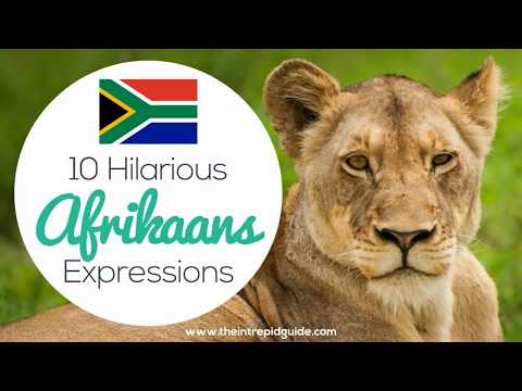 10 Funny Afrikaans Idioms πΏπ¦