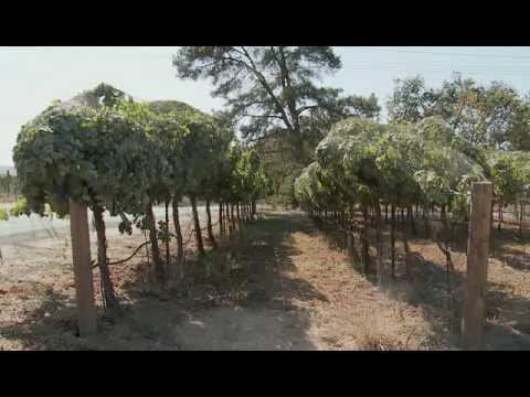 Groundwater: Our most reliable water source