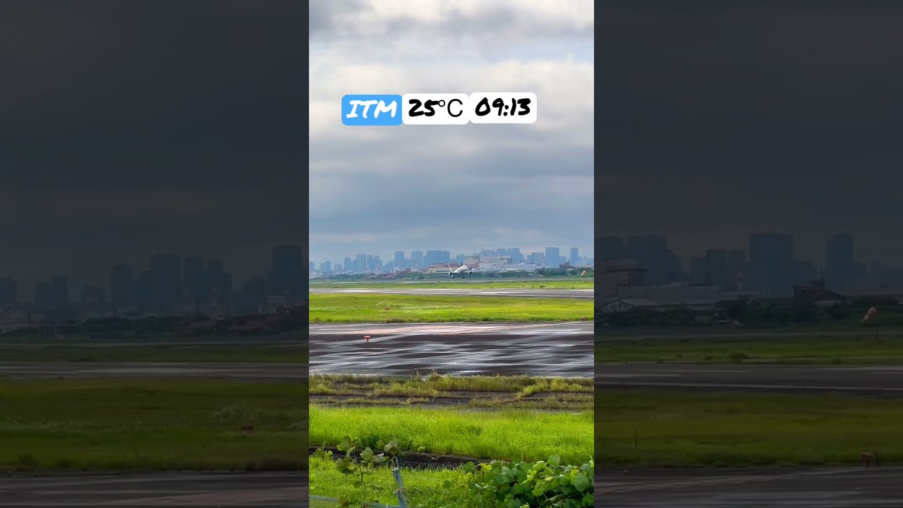 Airbus a350 JAL Takeoff Osaka International Airport  #airbusa350 #takeoff #jal