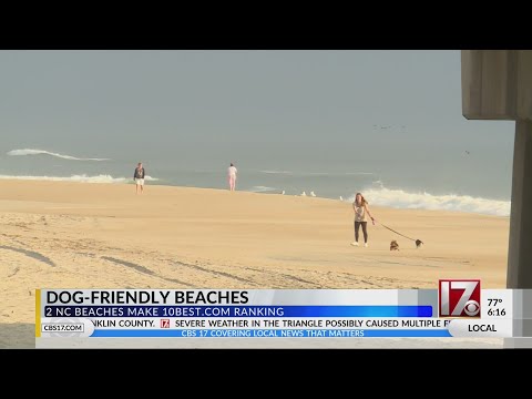 2 NC beaches make list of most dog-friendly in US